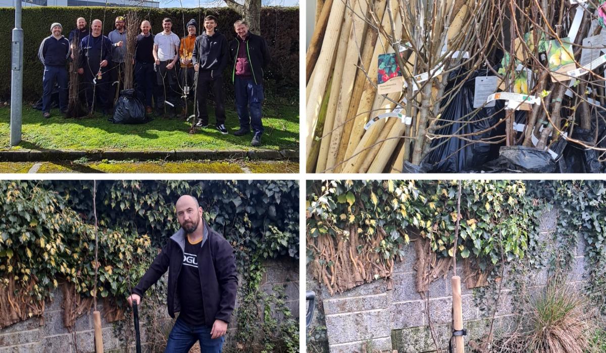 Hanley staff in Clonmel take control of tree planting campaign ...