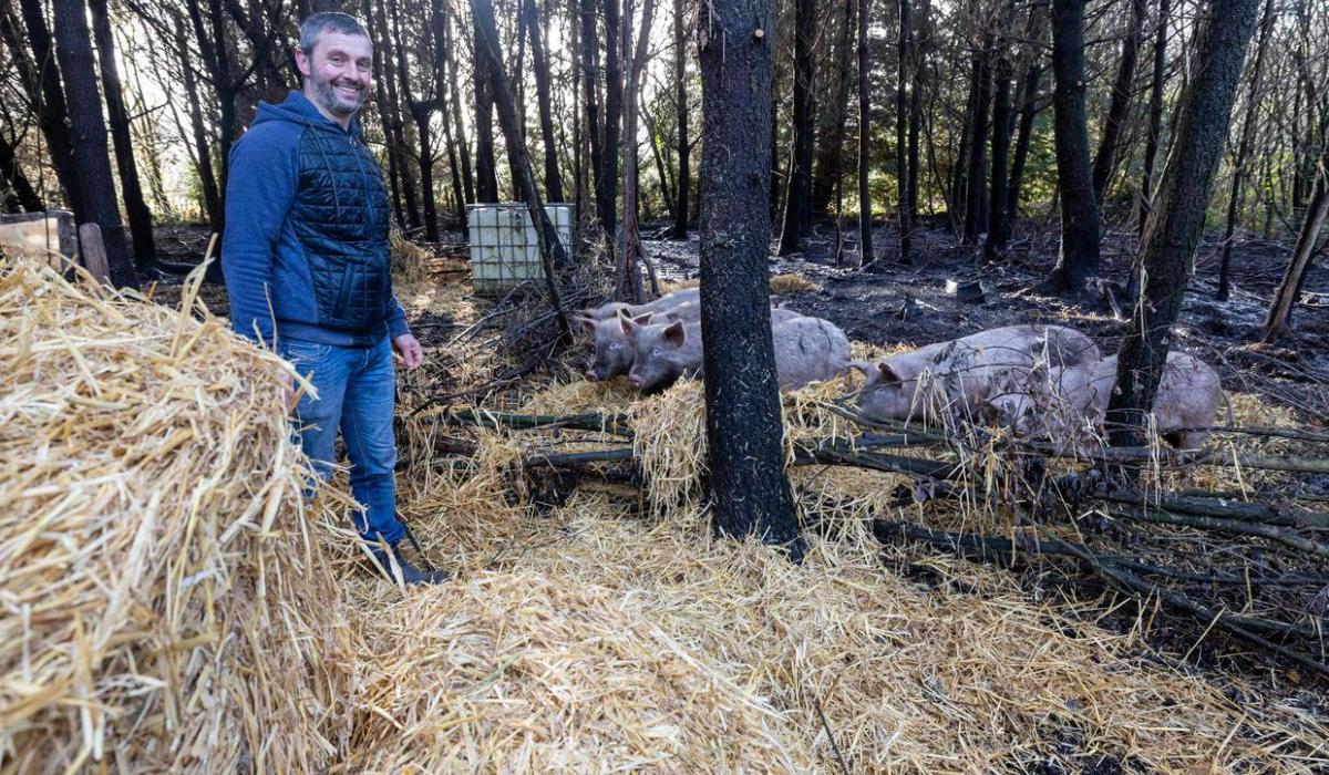 Michelin star chef teams up with farmer for a unique showcase of Laois ...