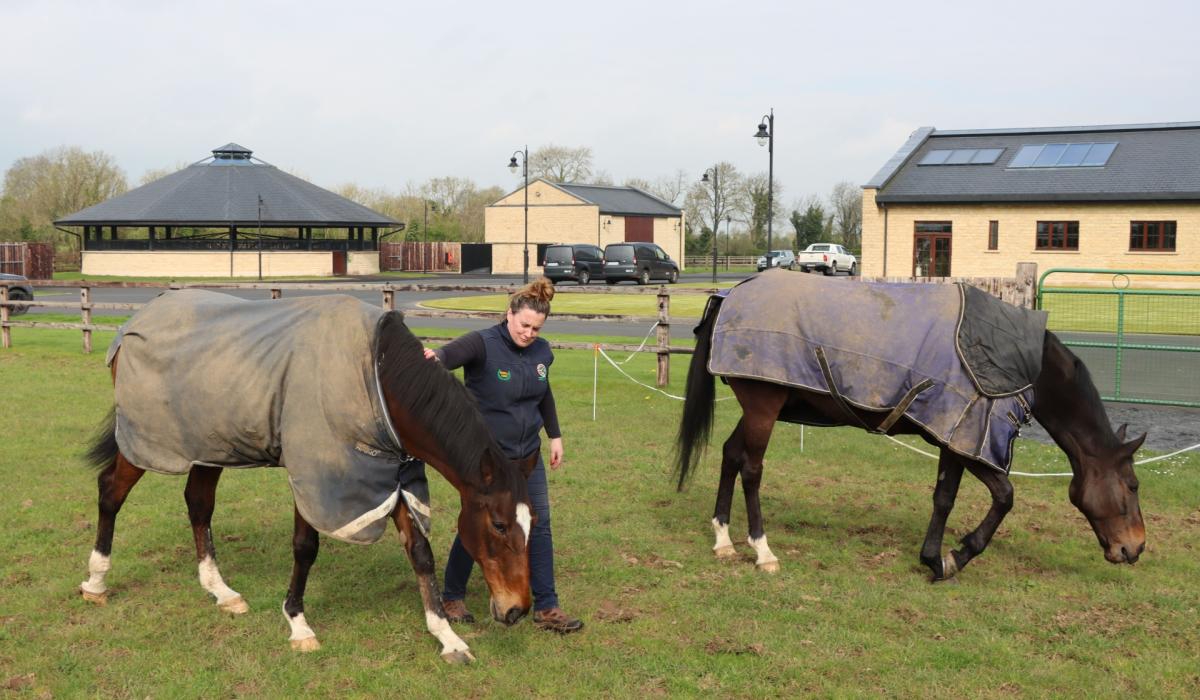 Inside Martinstown Stud - home to some of the biggest names in horse ...