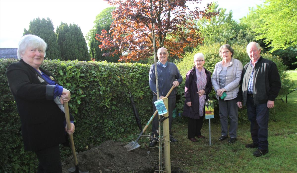 Historian, storyteller, musician and author remember in tree planting ...