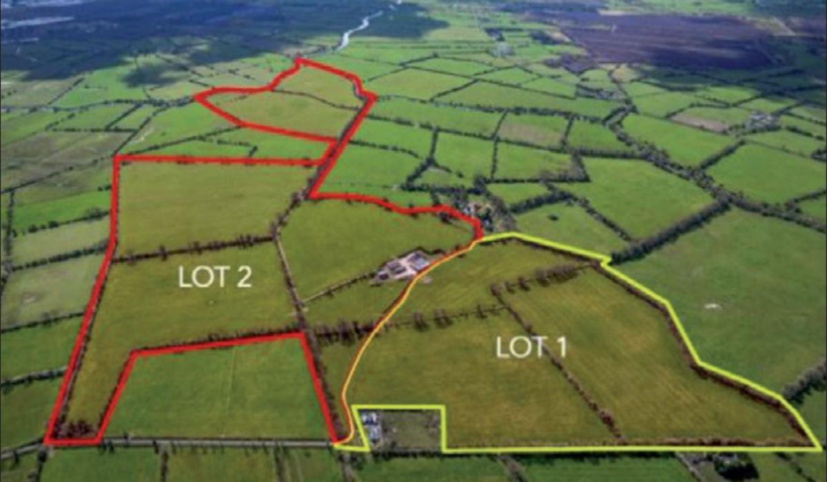 Two large lots of prime farm land in Offaly going up for auction in ...