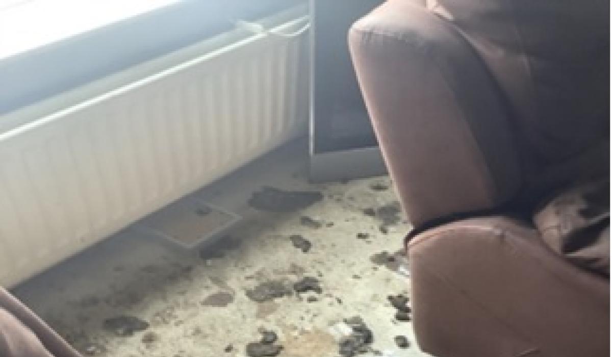 Derry Court: Woman convicted of causing unnecessary suffering to German ...