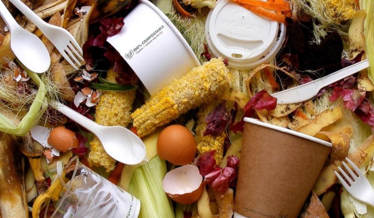 'We all have a role to play in reducing food waste - Minister Charlie ...