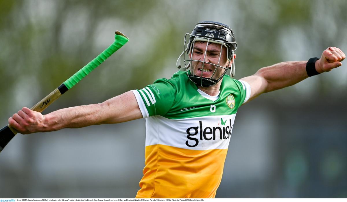 The man behind the wire: End of season leaves Offaly hurling world ...