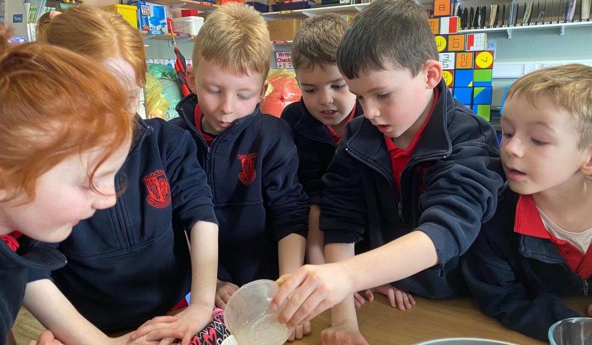 IN PICTURES: Laois school has won three national awards - Page 1 of 23 ...