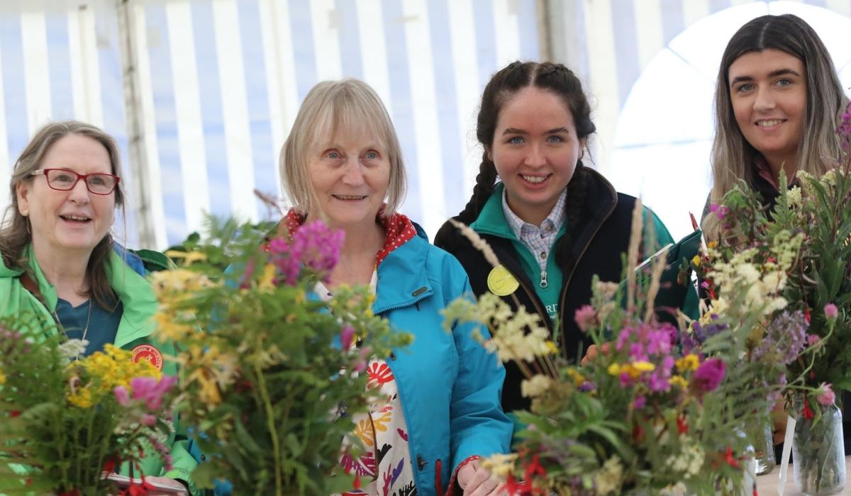 In Pictures: Something for all the family at the 2023 Inishowen ...