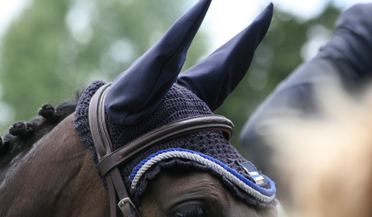 Congratulations! Daughter of Rich and Michelle Swain is going to the ...