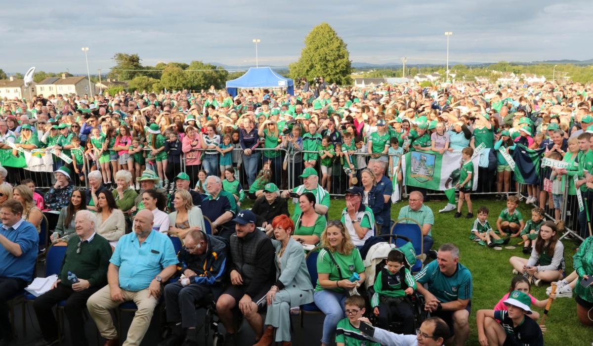 In Pictures: Hurlers make triumphant return to Limerick town - Page 1 ...