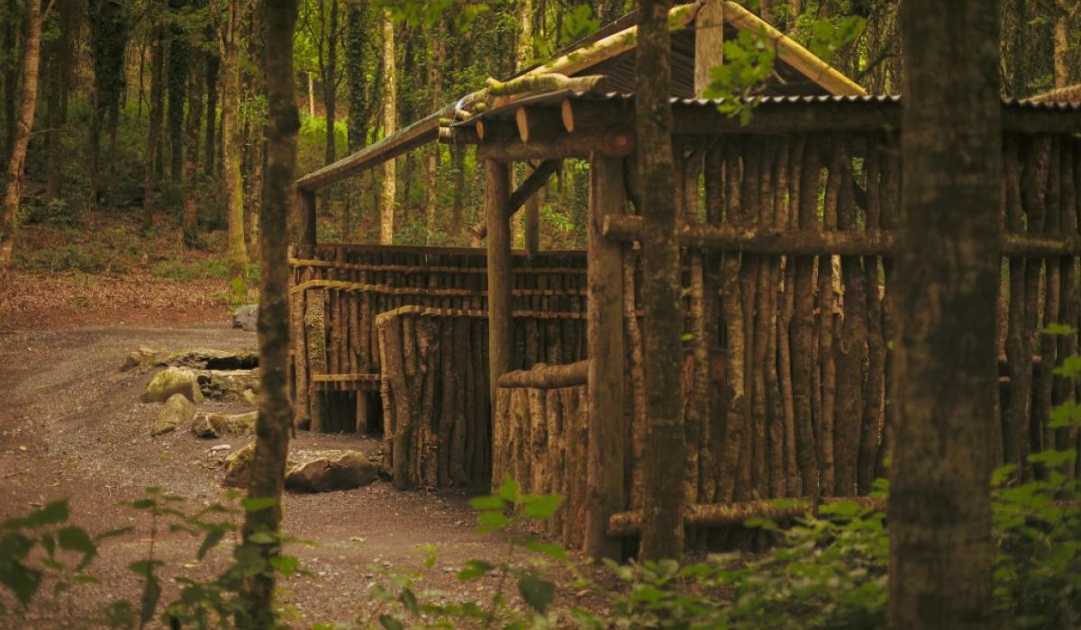 Laois man creates outdoor woodland classroom for Portlaoise school ...