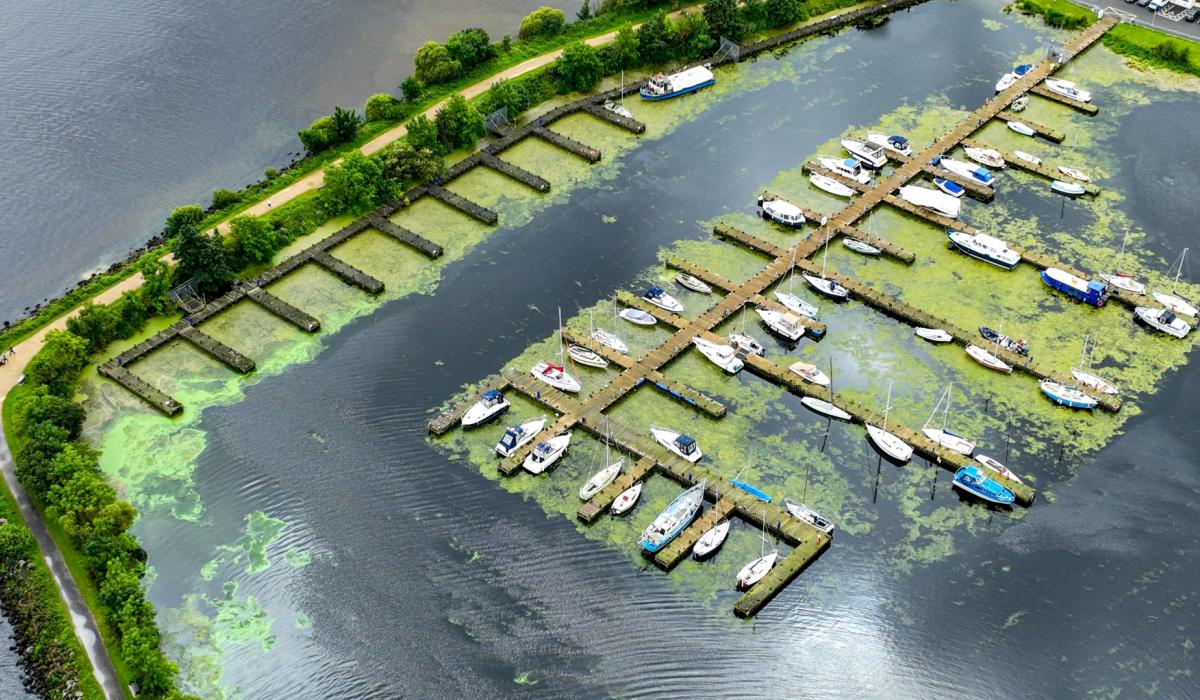 Campaigners hold "wake" for Lough Neagh - Ireland Live