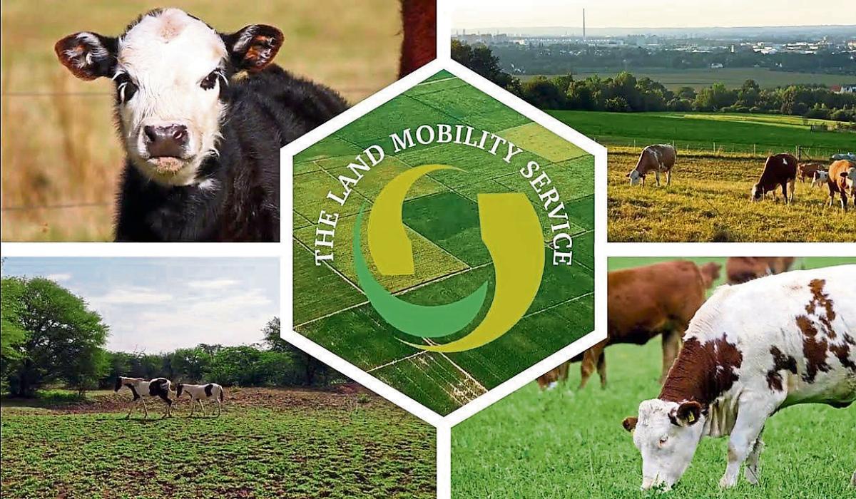 Land Mobility Service welcomes announcement of new Succession Planning ...