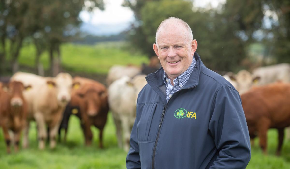 Calls to encourage Clare women to farm - Ireland Live