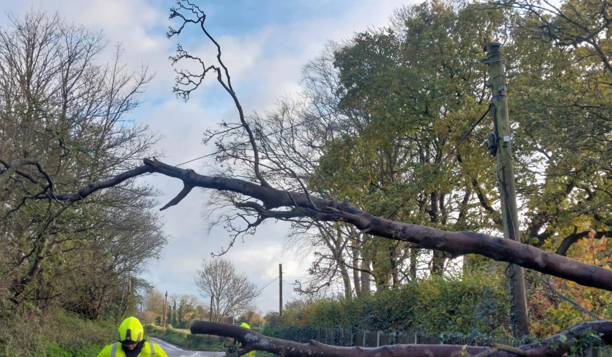 Louth County Council responds to impact of Storm Debi - Ireland Live