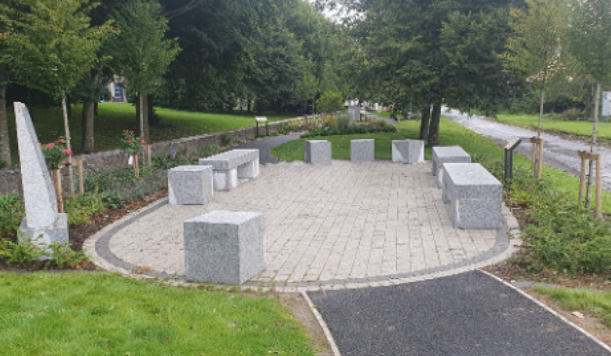 Dunleer Tidy Towns to host Community Awards Night - Ireland Live