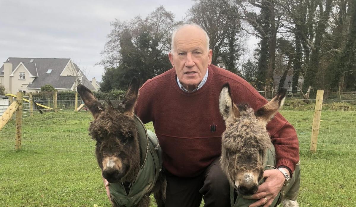 Christmas spirit is alive and well with charity display set for the ...