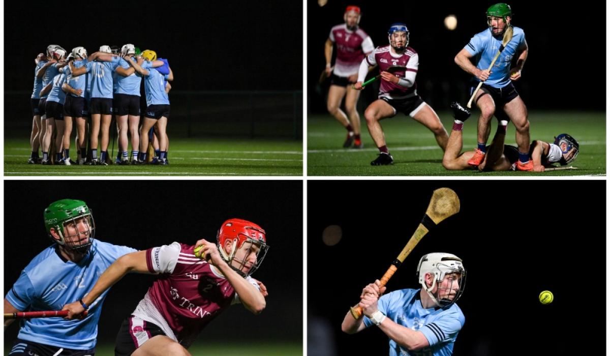 Pictures: SETU Carlow lost out to University of Galway at the opening ...
