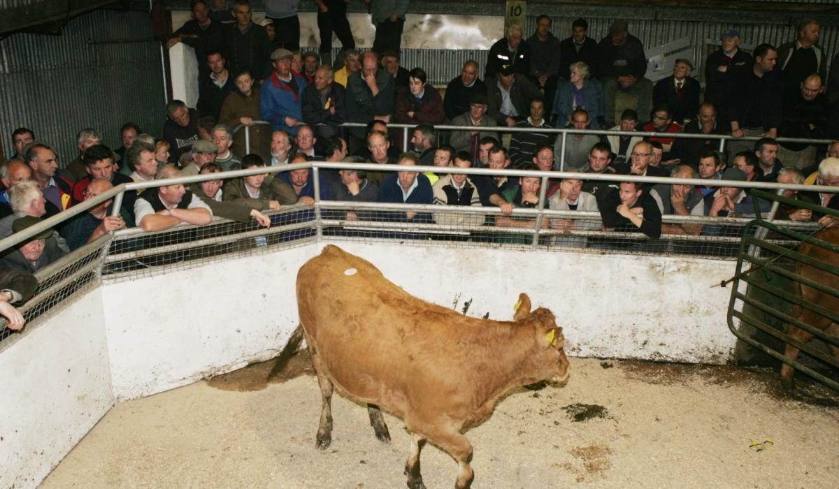 Laois town in line for boost if mart can be reopened - Ireland Live