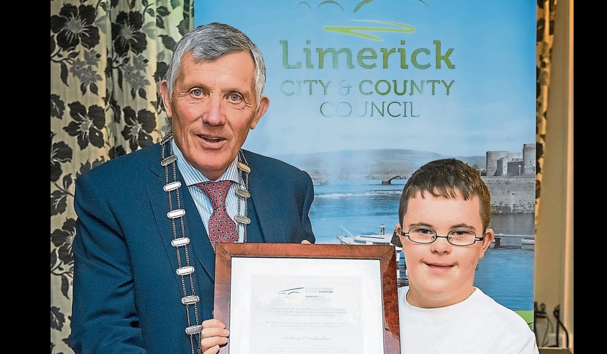 Limerick political exodus continues as another big hitter steps away ...