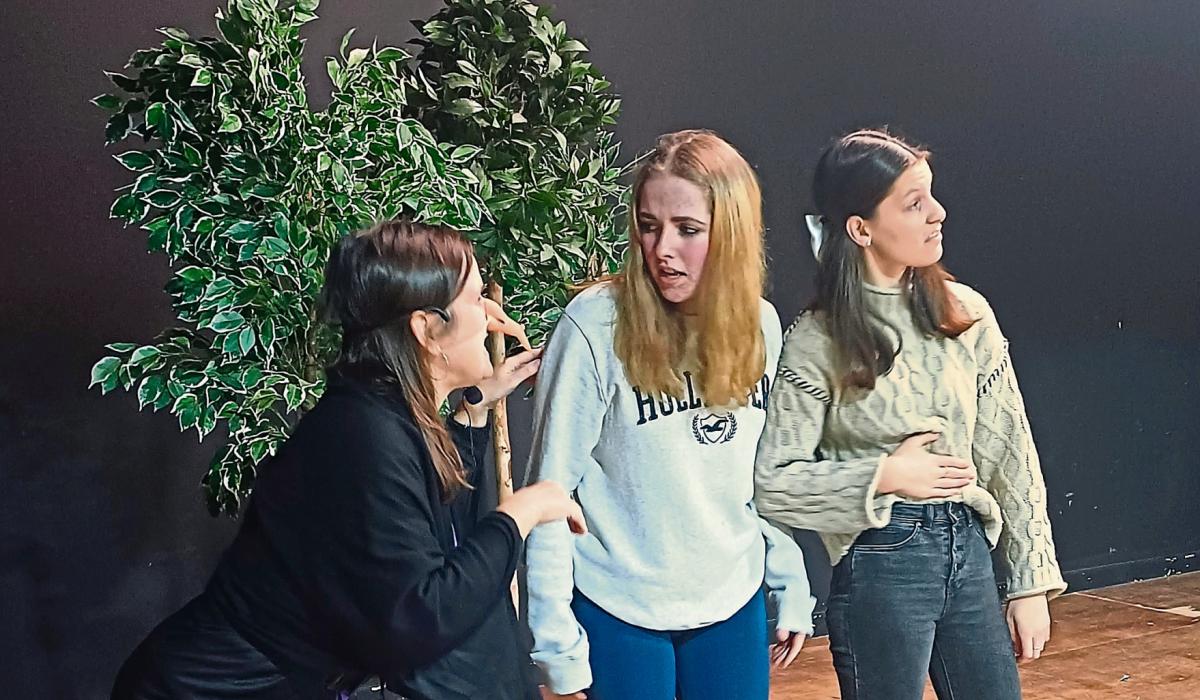 Longford Drama: Panto time for Mostrim Players - Ireland Live