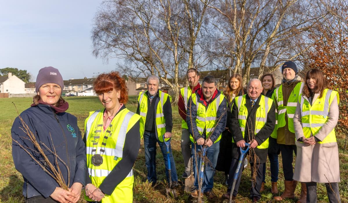 Shannon students help plant trees for new local habitat - Ireland Live