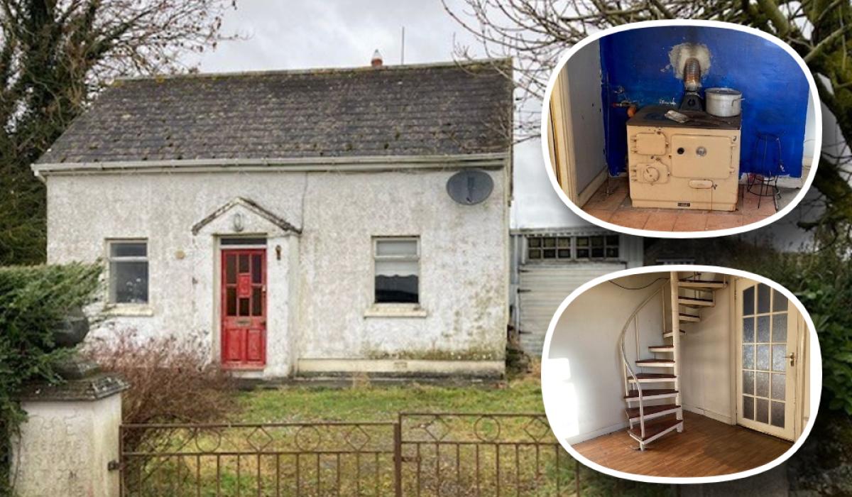 PICTURES: Quaint and quirky Tipperary cottage hits the market with budget-friendly price tag ...