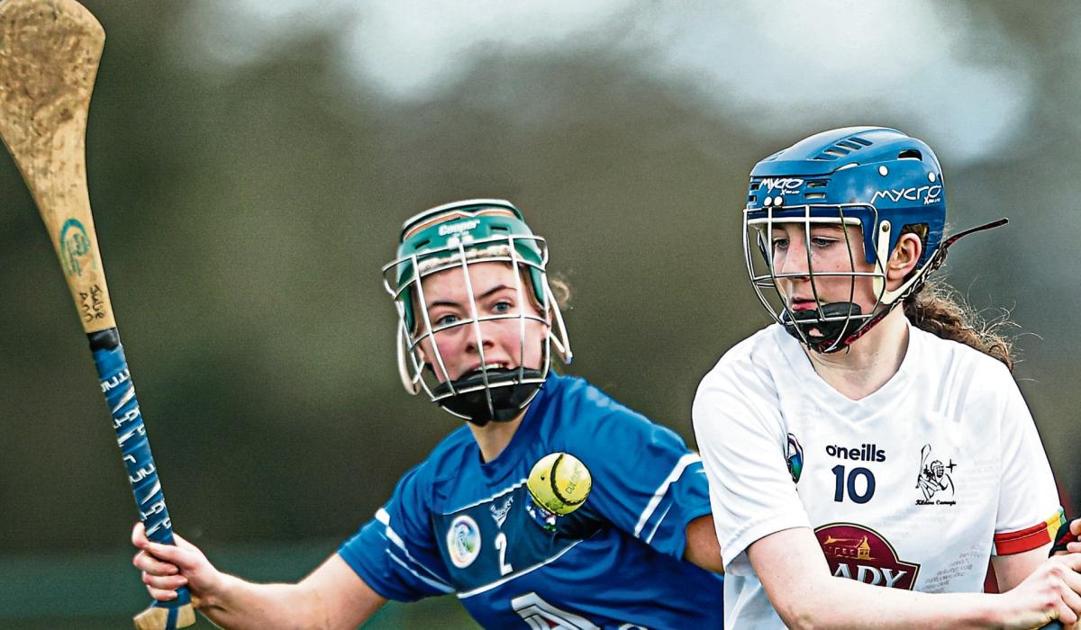 Kildare claim Leinster 'B' Camogie Championship with extra-time win ...