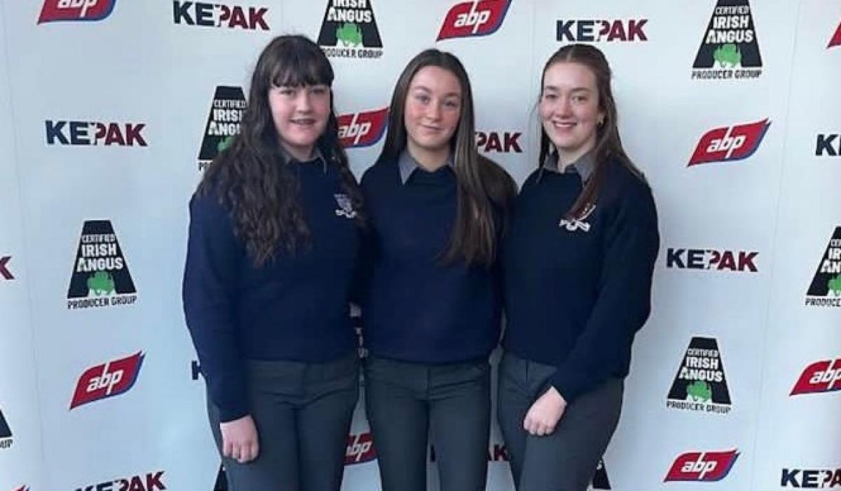 Laois students reach semi-final to win five purebred Irish Angus calves ...
