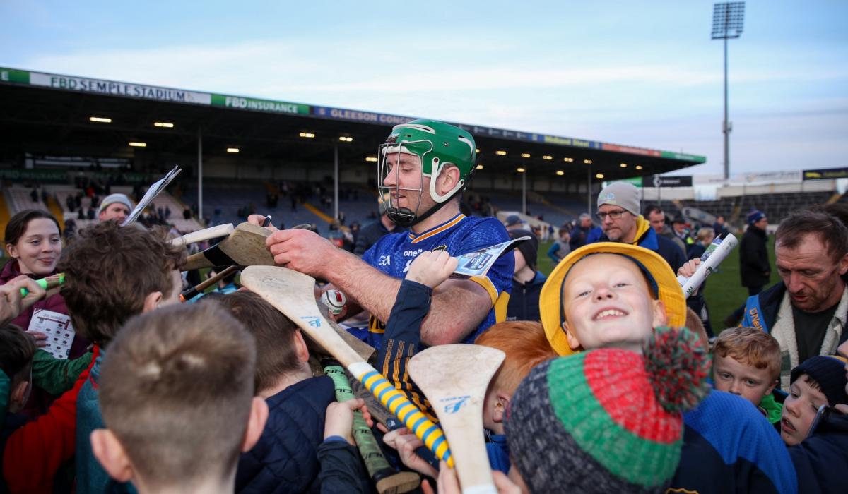 PICTURE OF THE WEEK: Peek-a-boo! Cheeky Tipperary hurling fan crashes ...