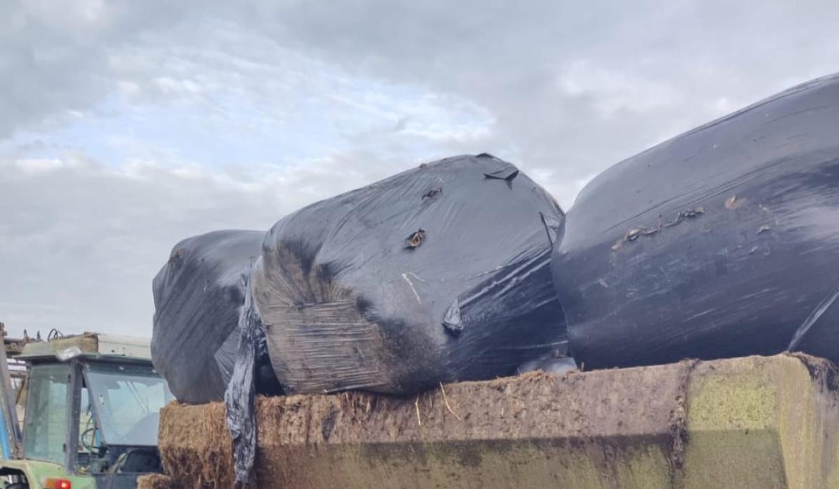 Kilkenny gardaí make example of 'poorly loaded' vehicle - Ireland Live