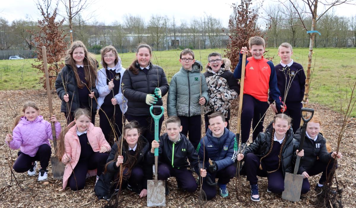 PICTURES: Limerick students embrace Mother Nature by planting trees ...