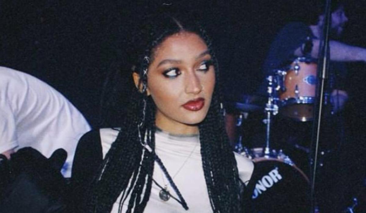 Limerick artist features in The 2 Johnnies music video filmed in Dolan ...