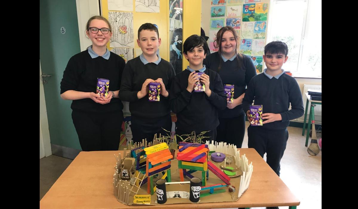 Great fun at Ballymacarbry NS - Panda Playground Design Competition ...