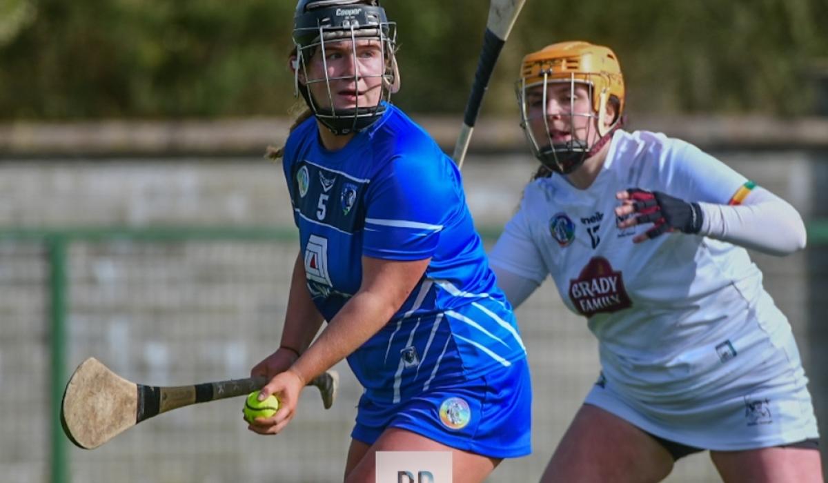 Goals galore as Laois Camogie team defeat Kildare to seal league final ...