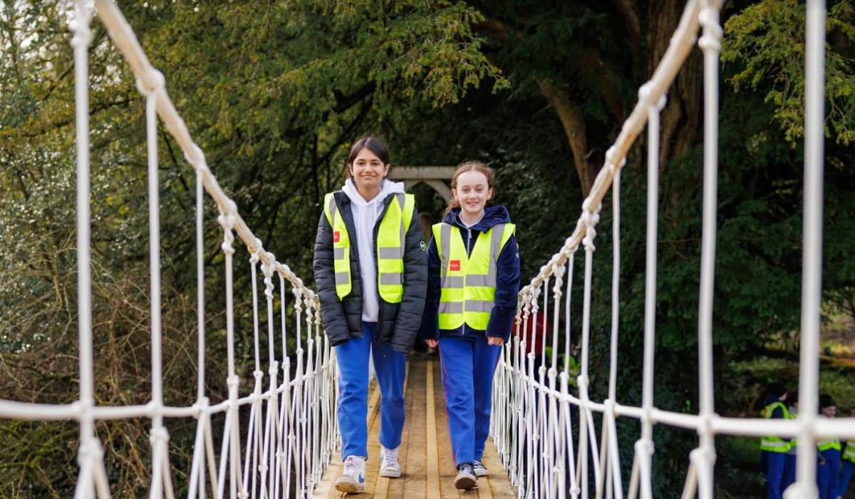 Iconic suspension bridge in Offaly reopened after amazing restoration ...