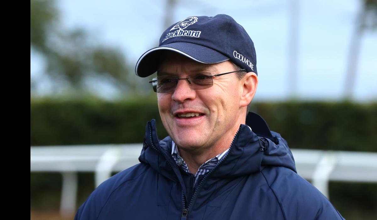 Destination Dubai for battalion from Tipperary horse racing stables ...