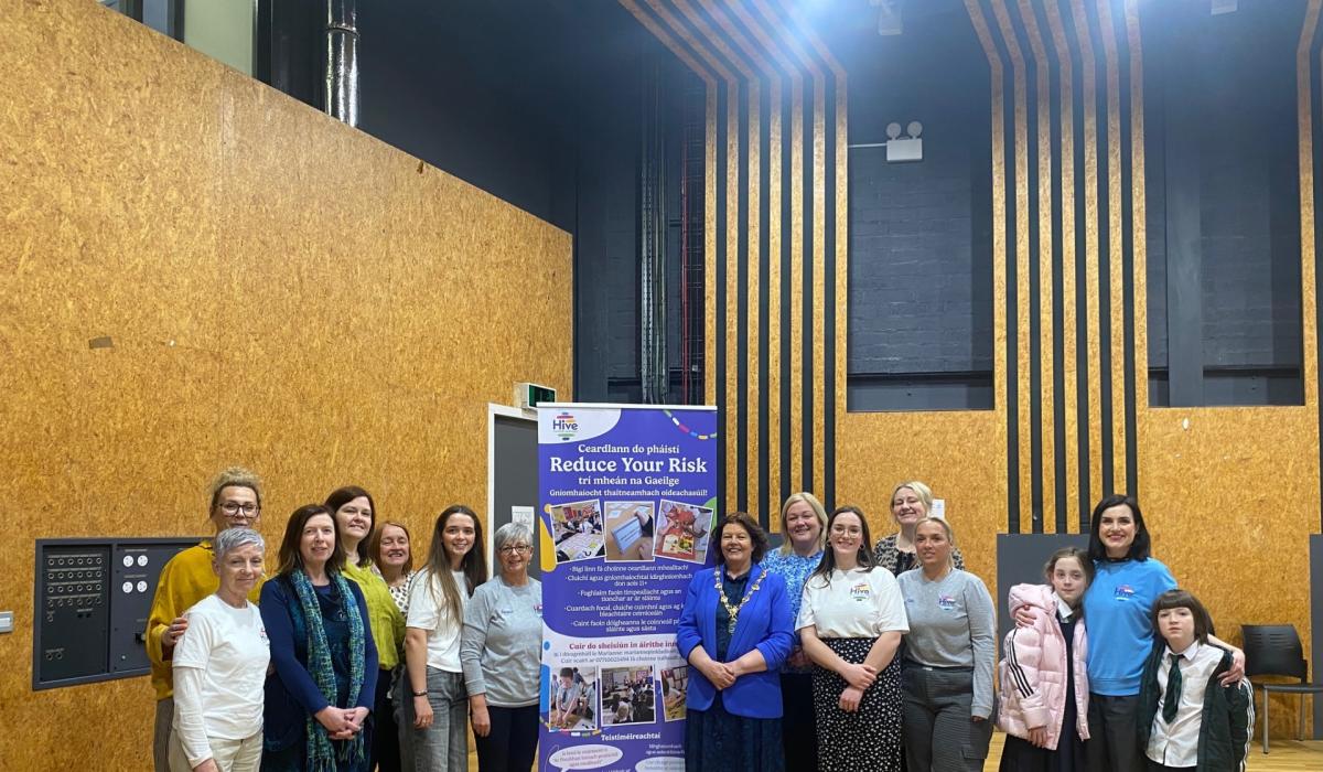 Hive Cancer Support launches children's workshop in Irish - Ireland Live