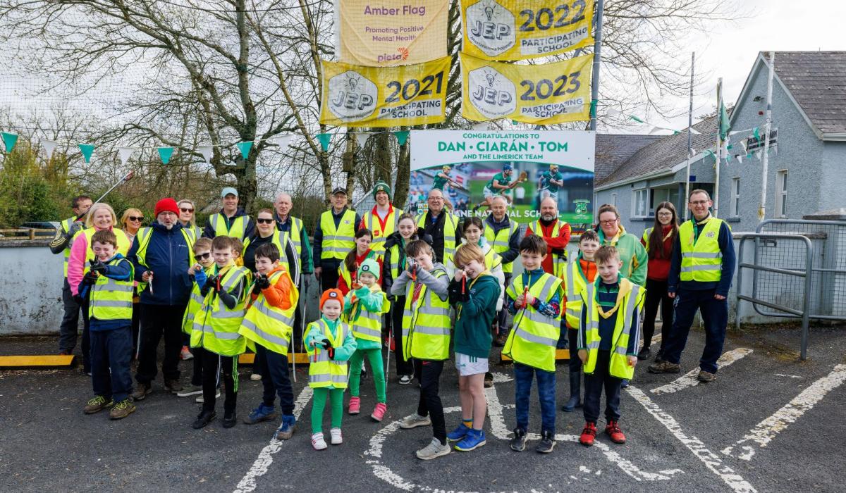 PICTURES: Communities out in force for Team Limerick Clean-Up 9 - Page ...