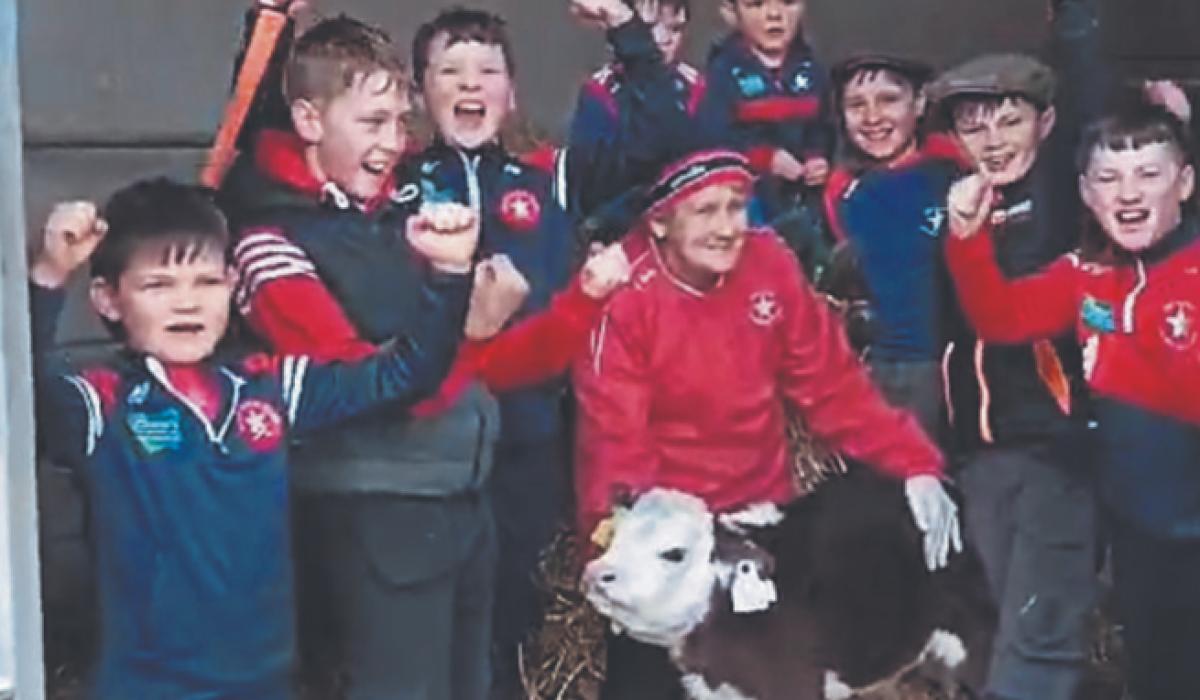 No bull as All-Ireland winning Clare hurler enters enemy territory for ...