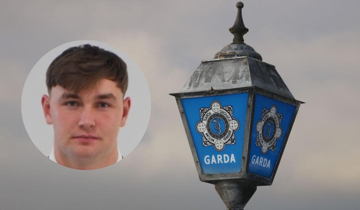 ALERT: Gardai seek help in locating teenager missing from his home in Limerick - Ireland Live