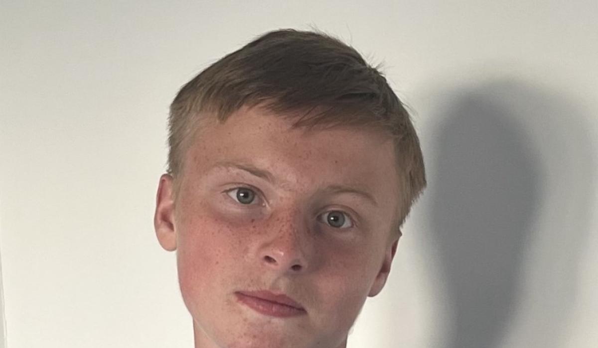 Laois Gardaí issue appeal over missing teenager - Ireland Live