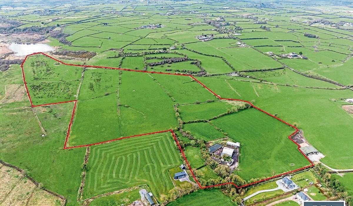 Limerick farms sell above guide price at hotly-contested auctions ...