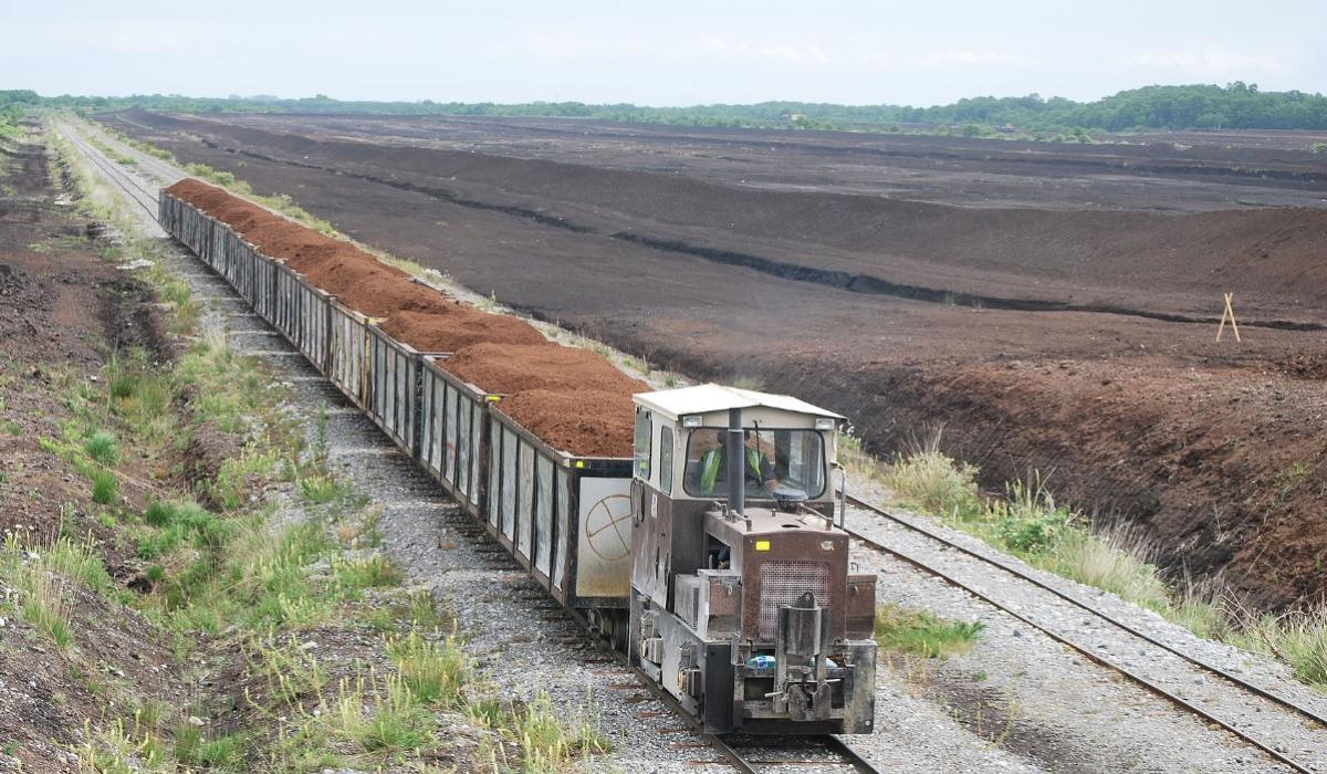 Unused Portlaoise cutaway bogs 'greatest gem we have' for visitors ...