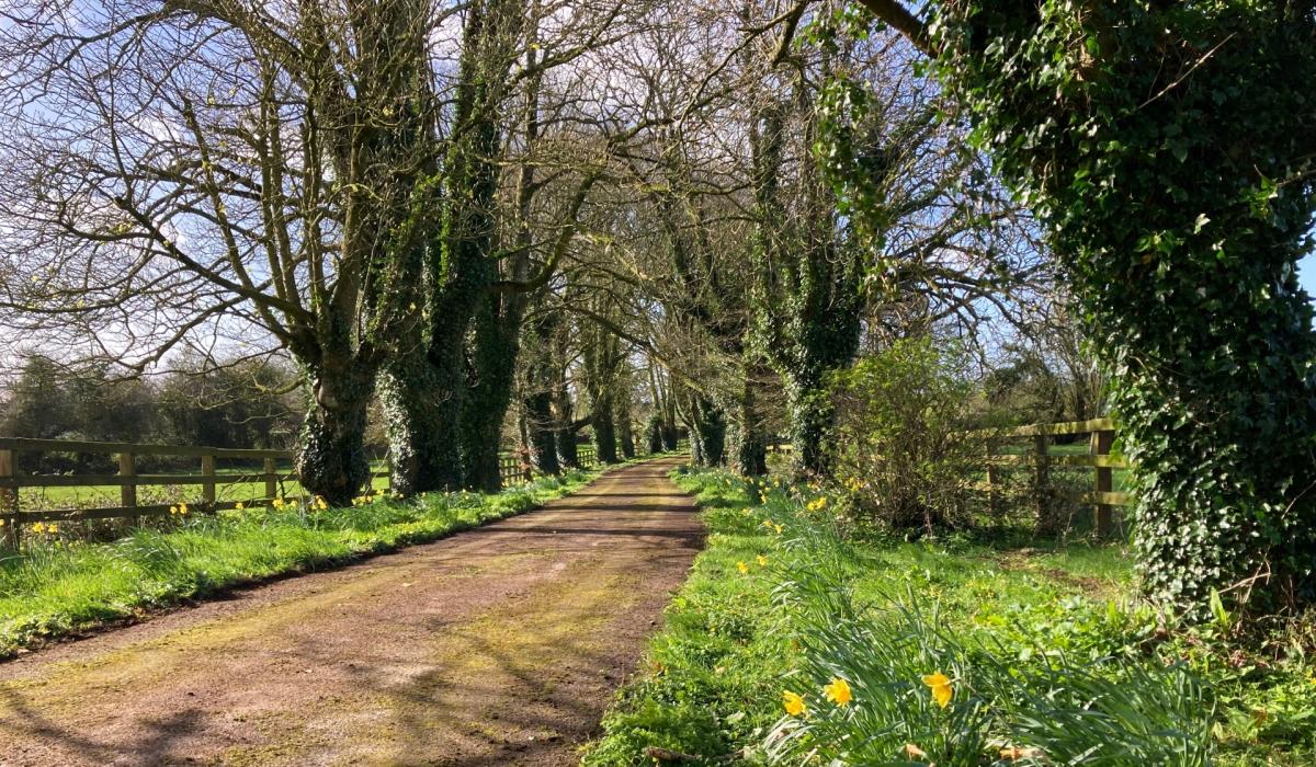 Revealed: Winning bid of €1.85m for Kill House and farm in Tipperary ...