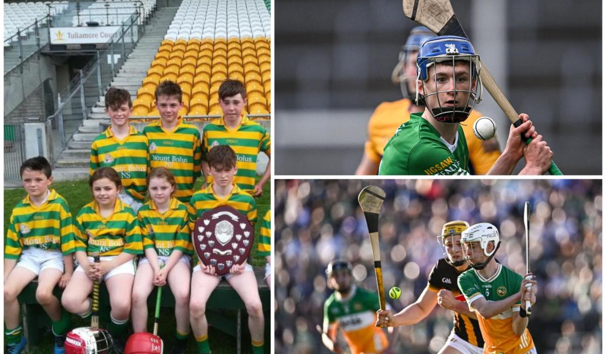 The day Offaly U20 hurling twins lit up Cumann na mBunsol scoring 4-15 ...