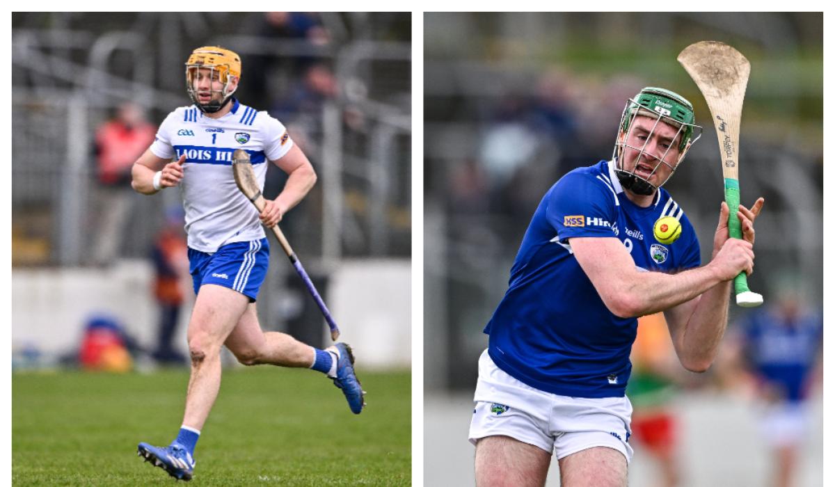 From disappointment to determination: Laois' Enda Rowland and Paddy ...