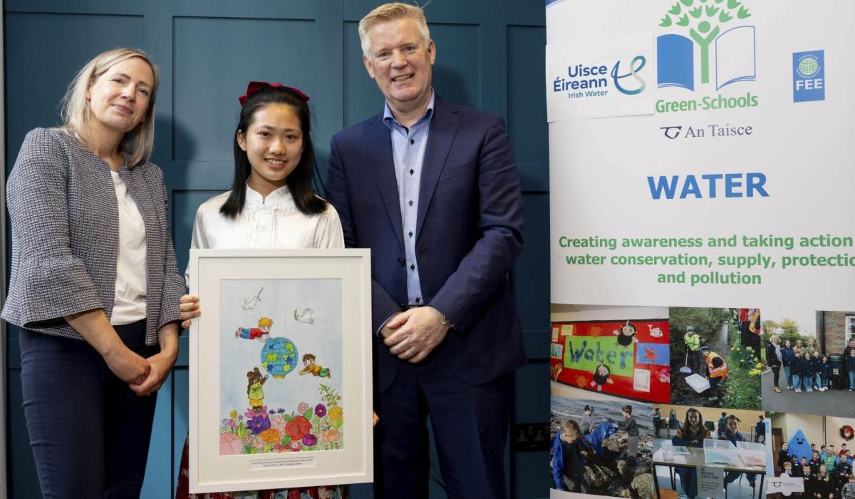 Ardara student makes artistic splash at National Green Schools Water ...