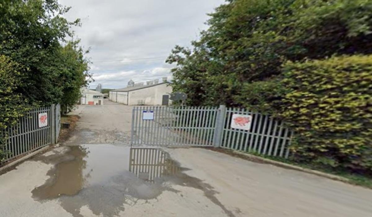 Laois pig farm plans expansion - Ireland Live