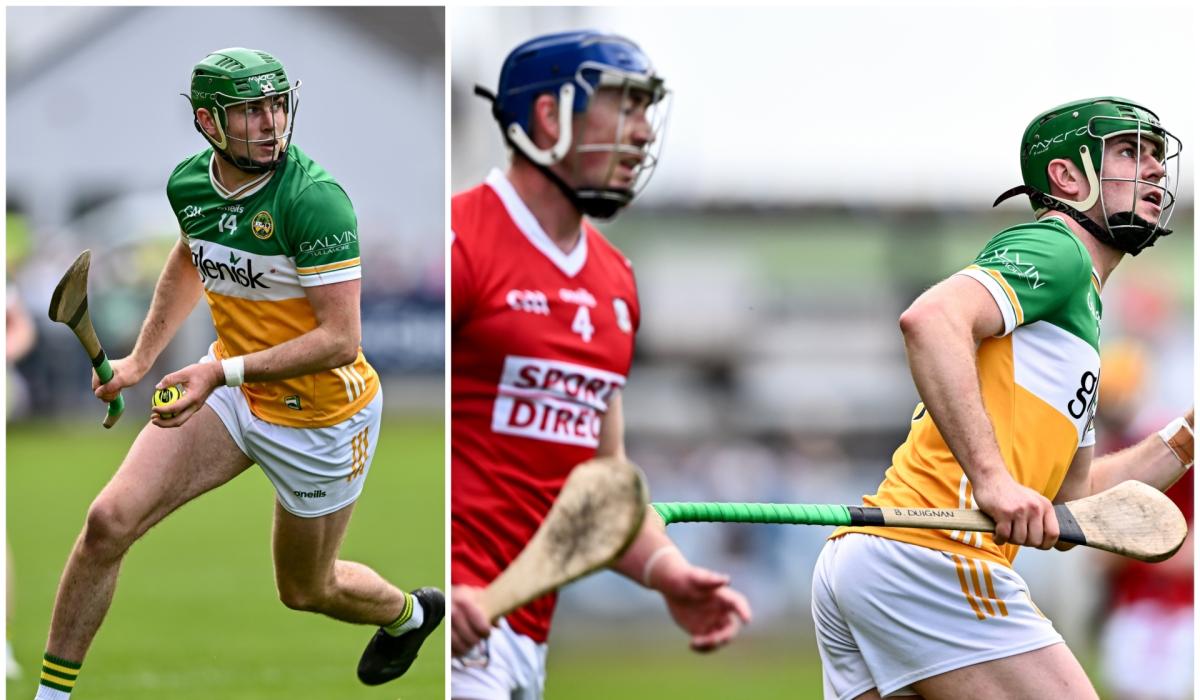 PLAYER RATINGS: How the Offaly players fared in spirited performance ...