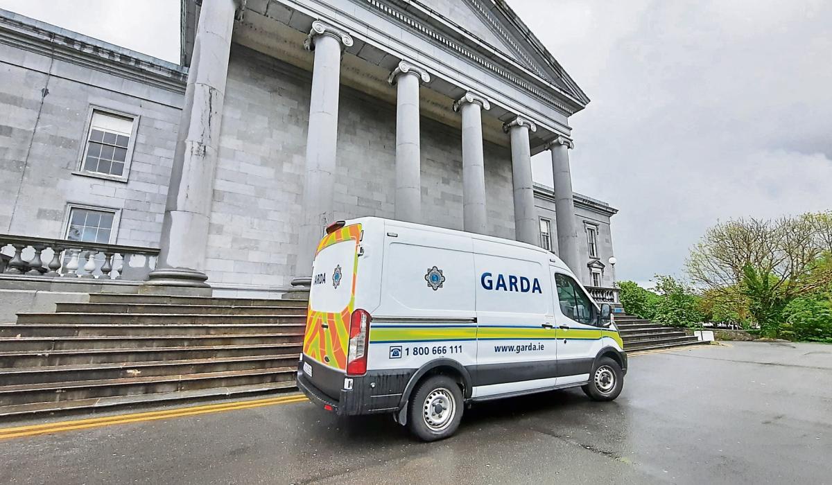 Gardai seek destruction order for XL bully dog seen 'running freely' on ...