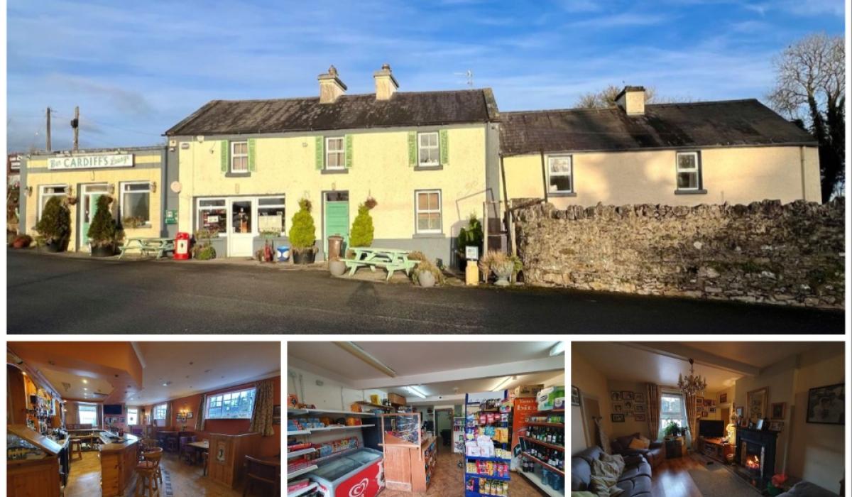 PICTURES: Lakeside Leitrim pub, house and shop up for sale for less ...